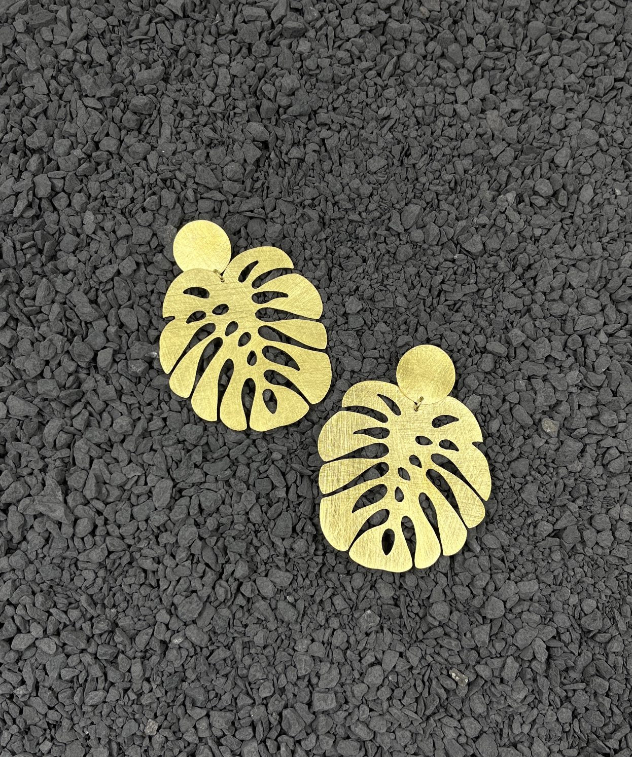 Monstera – Veronica Silva